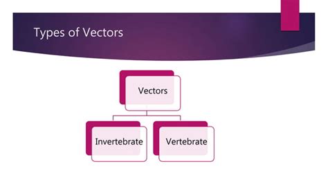 Vector Control Measures Ppt