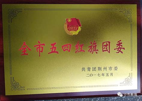 沙市实验中学团委被评为荆州市五四红旗团委