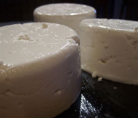 CABRITA LA LECHE DE CABRA ES LA MEJOR