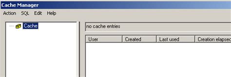 ORACLENERD OBIEE Call SAPurgeAllCache