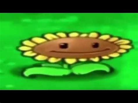 Подсолнух танцует под: папа дуру дуру вап - YouTube