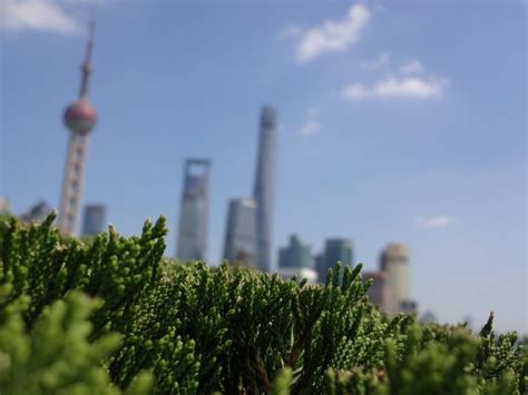 延迟退休？同时留学生落户年龄限制将放宽？ 知乎