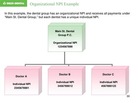 Ppt The National Provider Identifier Npi What Dentists Need To Know Powerpoint Presentation