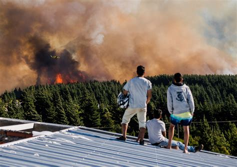 Incendio Forestal En Epuyén Inforest Líderes En Equipamientos Para