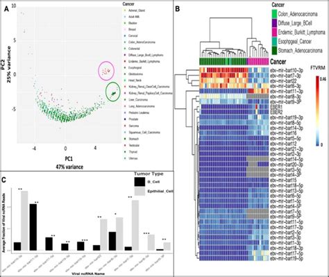 Sensitive Detection Of EBV MicroRNAs Across Cancer Spectrum Reveals
