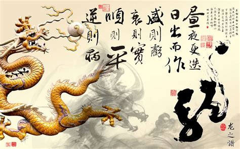 A014006 浮雕 软包牡丹花 中国壁画网 壁画 电视背景墙 沙发背景墙 壁画素材 素材 图片 图库 设计素材 PSD 矢量图 图片设计