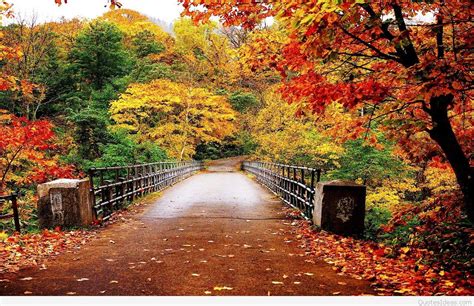 September Fall Wallpapers Top Free September Fall Backgrounds