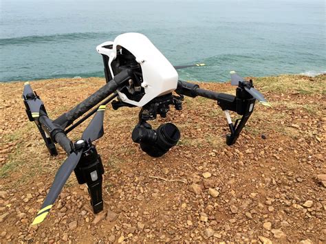 41 Days Of Shark Spotting Drone Trials On North Coast Northern Star