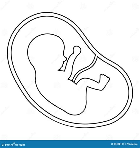 Baby In Womb Icon Outline Style Stock Vector Illustration Of Born