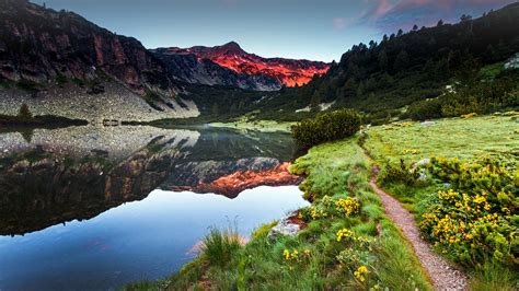 Fondos De Pantalla Naturaleza Paisaje Reflexión Árboles Bosque