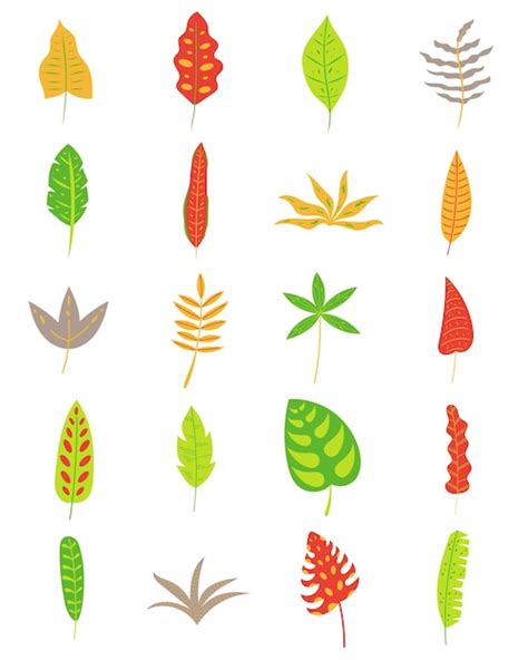 Premium Vector Tropical Leaves Element Set