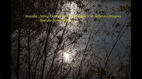 Borodin String Quartet No 2 In D Major Ii Scherzo Allegro Youtube