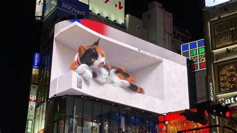 도쿄 신주쿠 3d 고양이 Youtube