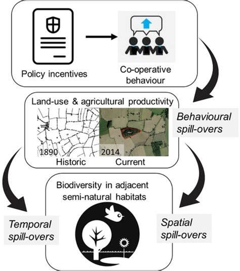 Temporal And Spatial Spillovers