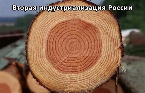 Hardware Software Complex For Drying Of Wood