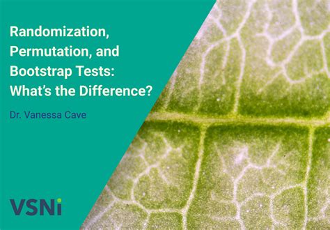 Beyond The P Value Statistical Significance Vs Practical Significance