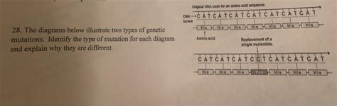 Solved Original DNA Code For An Amino Acid Sequence DNA C Chegg