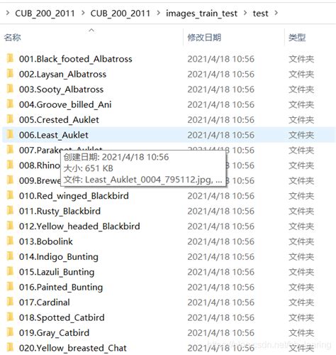 Imagefolder、dataloader加载cub200数据集导入加载cub数据集 Csdn博客