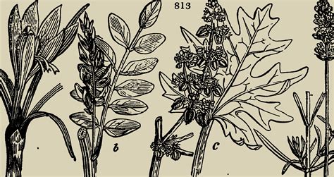 Soil Compaction Test Unlock Rich Growth