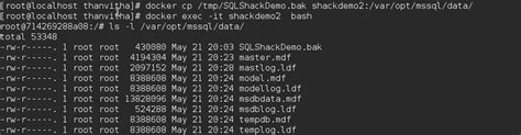 Understanding Backup And Restore Operations In Sql Server Docker Containers