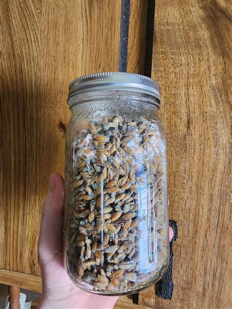 Disposal And Resuse Rshrooms