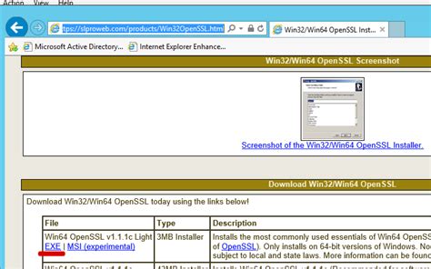 Installer Openssl Sous Windows Netscaler Master