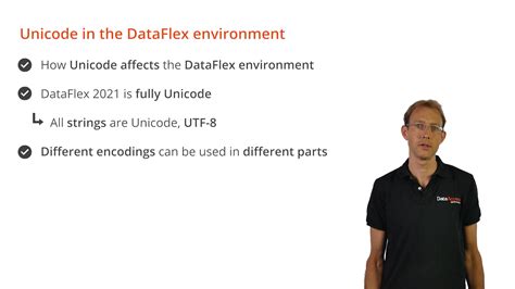 Dflc Lesson Unicode In The Dataflex Environment