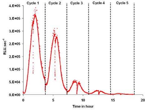 Bacterial Bioluminescent Biosensor Characterisation For On Line Monitoring Of Heavy Metals