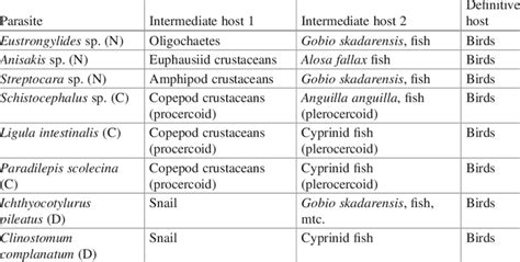 Life Cycle Of Some Parasites From Lake Skadar N Nematodes C