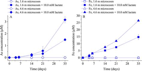 The Mobilization Reduction And Release Of Insoluble Arsenic And Iron