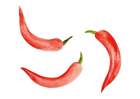 Chili Posters And Prints By Kathrin May Printler
