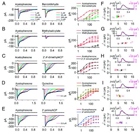 Similar Unitary Response Amplitudes Of M71 Monoclonal Orns To