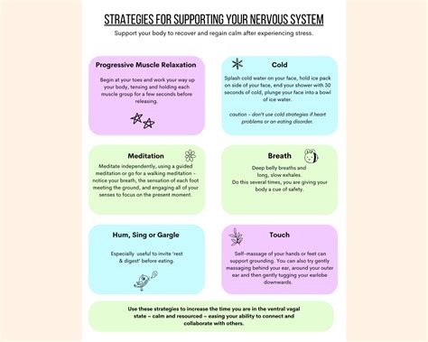 Nervous System Regulation Handout Mental Health Therapist Worksheet