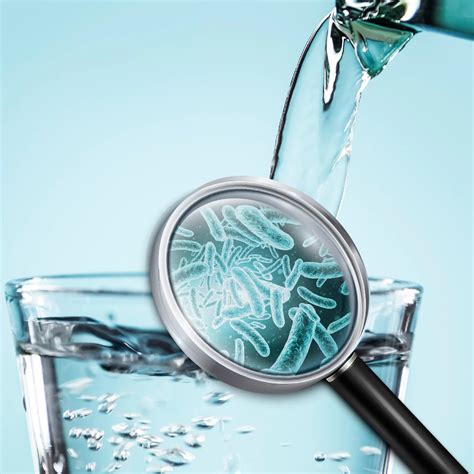 Bacterias Coliformes En Agua Qué Son Y Cómo Eliminarlas Baterías Cea