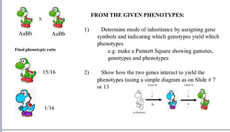 solved from the given phenotypes 1 determine mode of