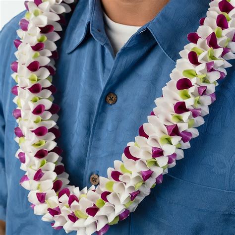 Top 92 Pictures Picture Of A Hawaiian Lei Full HD 2k 4k