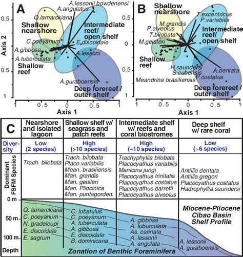 A Correspondence Analysis Ca Of Benthic Foraminifera Assemblages