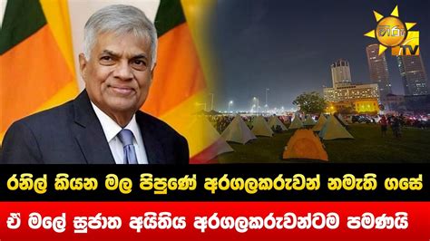 රනිල් කියන මල පිපුණේ අරගලකරුවන් නමැති ගසේ ඒ මලේ සුජාත අයිතිය