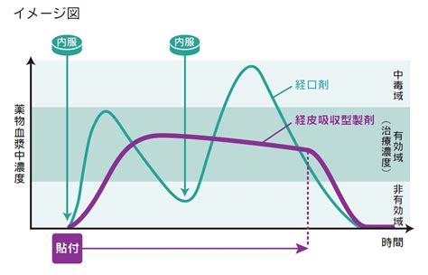 経皮吸収型製剤使用マニュアル 3 血漿中濃度持続の仕組み 医療関係者向け情報 トーアエイヨー