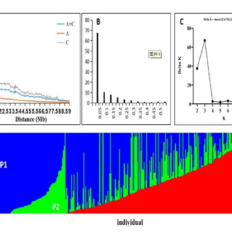 Linkage Disequilibrium Ld Analysis And Population Structure And