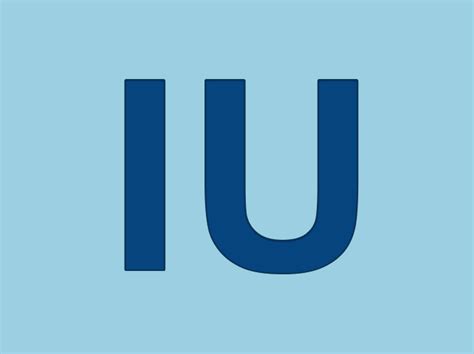 I N V Iu Sang Mg H Ng D N Chi Ti T V D Hi U