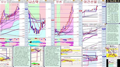 멋진대박 차놀인베스트의 국내선물및 옵션 해외선물 가상화폐 신호매매 리딩 Youtube