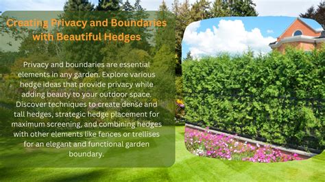 Ppt Inspiring Garden Hedge Ideas Transform Your Outdoor Space
