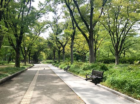 門倉健コーチの野宿の横浜公園の場所はどこ？発見や宗教はデマ！見つかるのはいつ？ Anser
