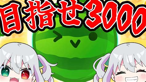 【スイカゲーム】ゲリラ配信 やっと帰宅できたので、スイカに癒してもらうんだ【gin ぎんぎらいぶ】 Youtube