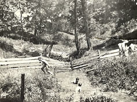 Young Men Caught Skinny Dipping In Creek Vtg 1920s Male Voyeur Photo
