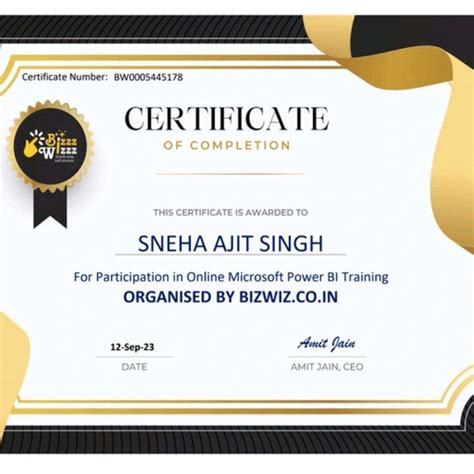 Completed Power Bi Training With Bizwiz And Amitesh Jain Sneha Ajit Singh Posted On The Topic