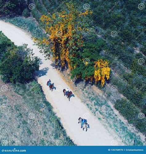 Aerial View Of Road In Countryside Farm Field Agriculture And Rural