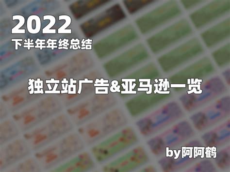 2022下半年独立站and亚马逊年终总结阿阿鹤 站酷zcool