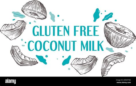 Keto Vegan Glutenfrei Bio Stock Vektorgrafiken Kaufen Alamy
